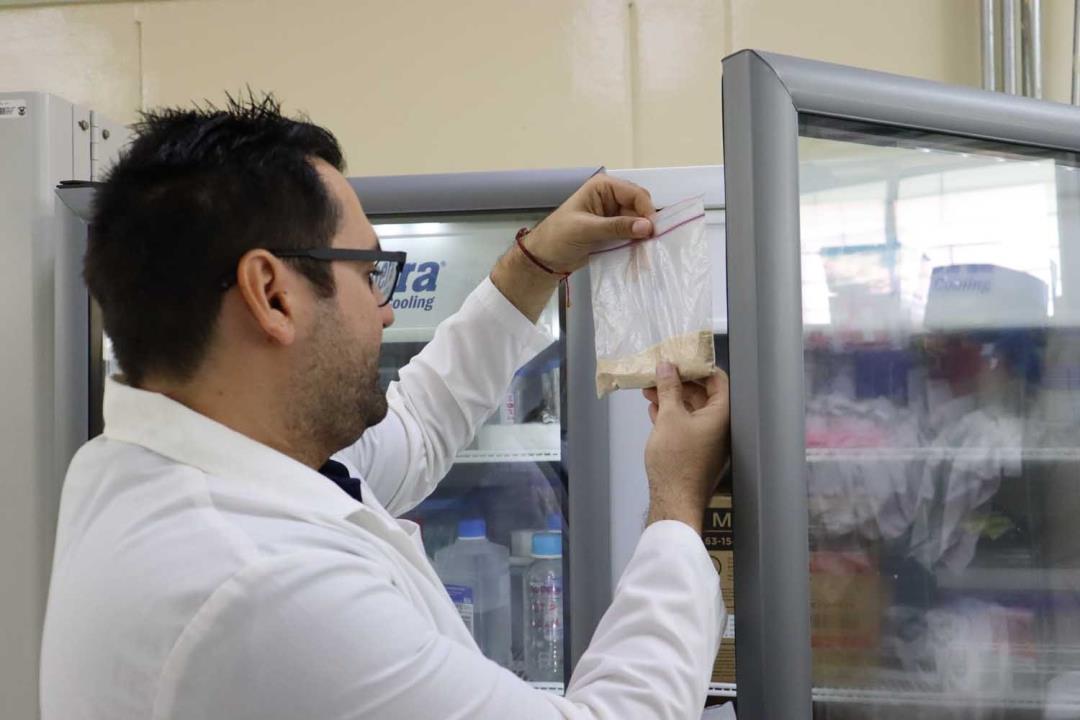 Investigación pretende demostrar que harinas de afrecho de cervecería ...