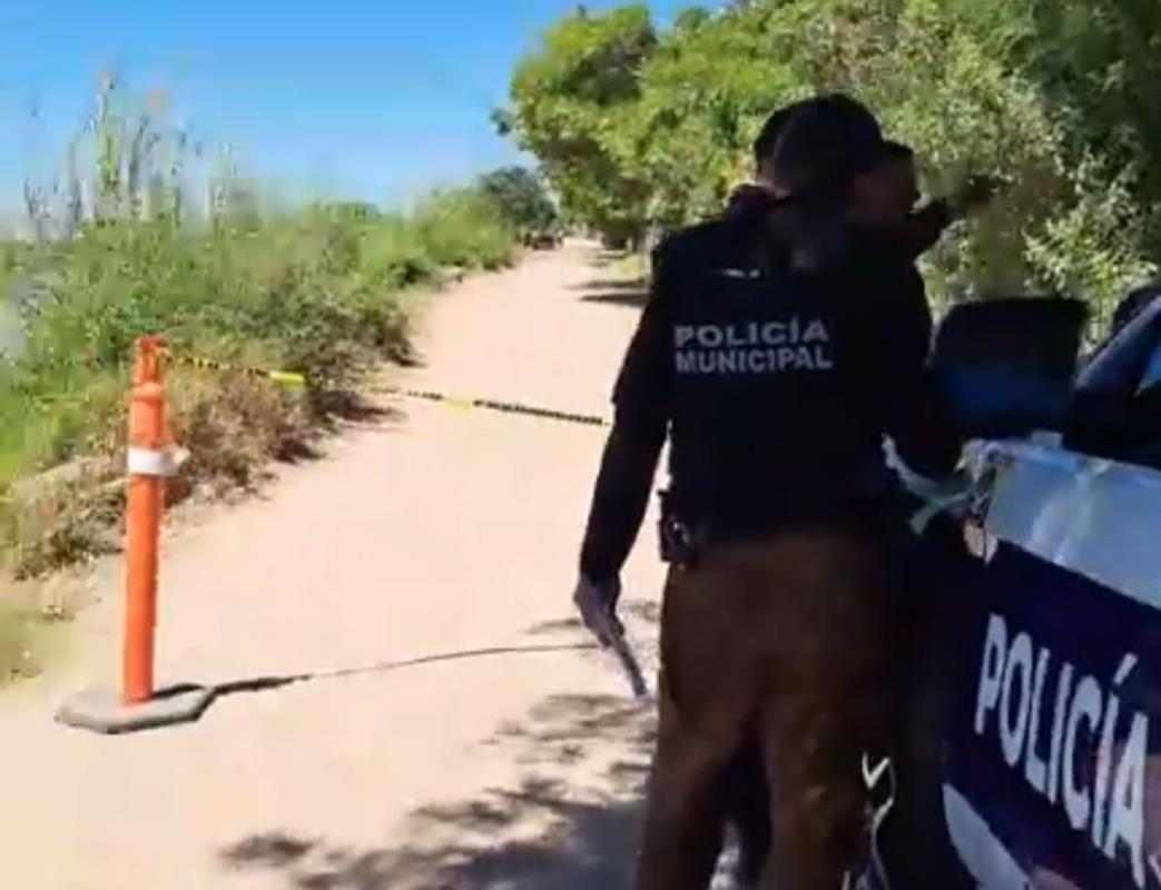 Perro hace macabro hallazgo: traía en el hocico restos de un recién nacido